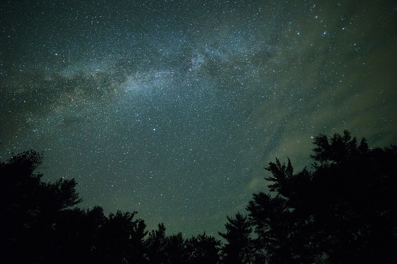 How to Design for Dark Mode: A Practical Guide for UX Success - Digital ...